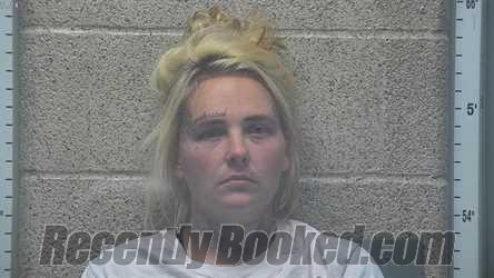 Recent Booking / Mugshot for LACEY MCCORMICK in Henderson County, Kentucky
