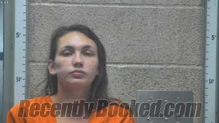 Recent Booking / Mugshot for LINDSEY M TIMMONS in Henderson County ...