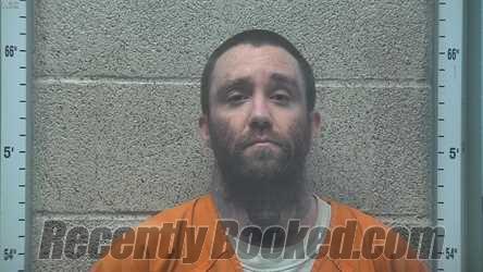 Recent Booking / Mugshot for MATTHEW M L GREER in Henderson County ...