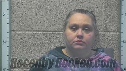Recent Booking / Mugshot for RACHEL D LYNCH in Henderson County, Kentucky