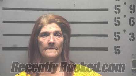 Recent Booking / Mugshot for LISA BEALS in Hopkins County, Kentucky