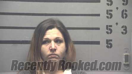 Recent Booking / Mugshot for CHELSEA LASHELLE COOK in Hopkins County ...