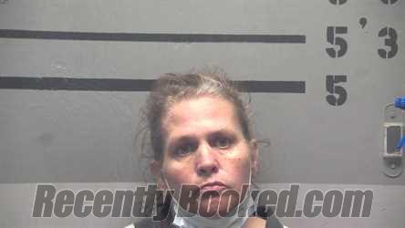 Recent Booking / Mugshot for JENNIFER ELIZABETH BUMPUS in Hopkins ...