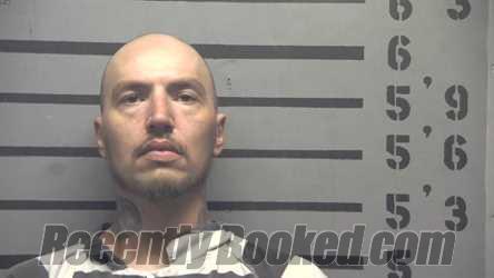 Recent Booking / Mugshot for JORDAN AALVIN OSTRANDER in Hopkins County ...