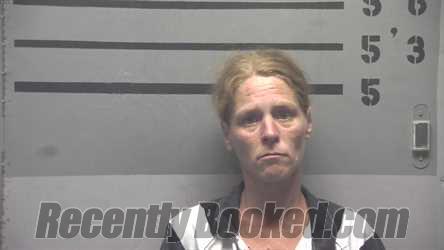 Recent Booking / Mugshot for TASHA JOHNSON in Hopkins County, Kentucky