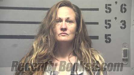 Recent Booking / Mugshot for AMY OFFUTT in Hopkins County, Kentucky