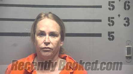 Recent Booking / Mugshot for STACI SKINNER in Hopkins County, Kentucky