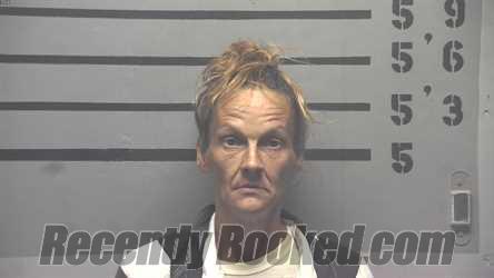 Recent Booking / Mugshot for TRACI SLOAN in Hopkins County, Kentucky