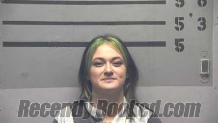 Recent Booking / Mugshot for TIFFANY NICOLE ABRAMS in Hopkins County ...