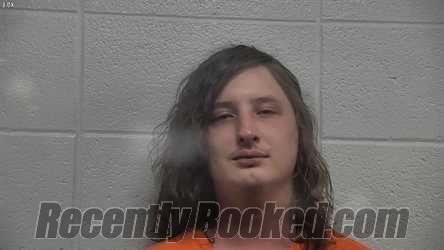 Recent Booking / Mugshot for DAVID RON LINNIK in Jessamine County, Kentucky