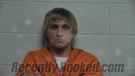 Recent Booking / Mugshot for REECE WHITE in Jessamine County, Kentucky