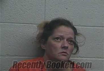 Recent Booking / Mugshot for SHELLY L FRANKLIN in Jessamine County ...