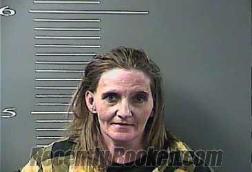 Recent Booking / Mugshot for SANDRA L PERRY in Johnson County, Kentucky