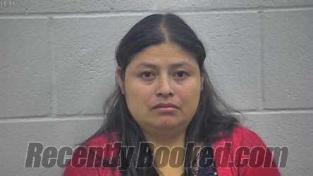 Recent Booking / Mugshot for MARIA FLORINDA PEREZ AGULAR in Kenton ...