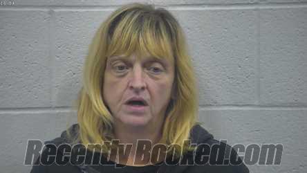 Recent Booking / Mugshot for SHAWNA JEAN LINVILLE in Kenton County ...