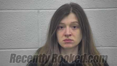 Recent Booking / Mugshot for VANESSA LIANE SKINNER-CHISCHILLY in Kenton ...
