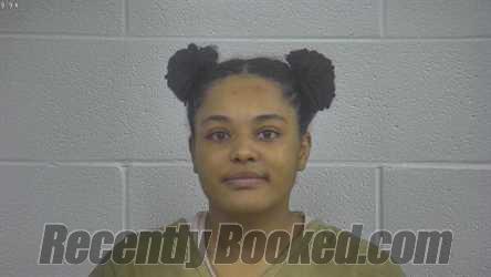 Recent Booking / Mugshot for CHYNNA BROWN-HAMPTON in Laurel County ...