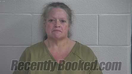 Recent Booking / Mugshot for CYNTHIA MULLINS in Laurel County, Kentucky