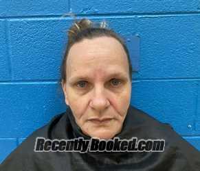 Recent Booking / Mugshot for AMIE LEA BIELSKI in McDowell County, North ...