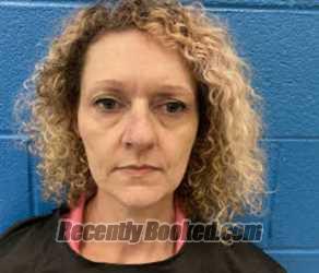 Recent Booking / Mugshot for JENNIFER MICHELLE FRADY in McDowell County ...