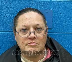 Recent Booking / Mugshot for JENNIFER CARTER NICHOLSON in McDowell ...