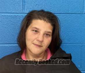 Recent Booking / Mugshot for NATASHA VISTA RIDDLE in McDowell County ...