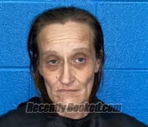 Recent Booking / Mugshot for AMANDA MICHELLE PRICE in McDowell County ...