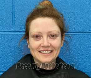 Recent Booking / Mugshot for JESSICA BAILEY SOWELL in McDowell County ...