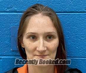Recent Booking / Mugshot for HEATHER HOWE in McDowell County, North ...