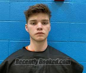 Recent Booking / Mugshot for BRAXTON STEWART BRYANT in McDowell County ...