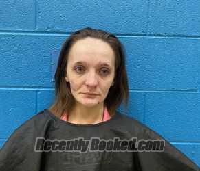 Recent Booking / Mugshot for JESSIE JANE FULLBRIGHT in McDowell County ...