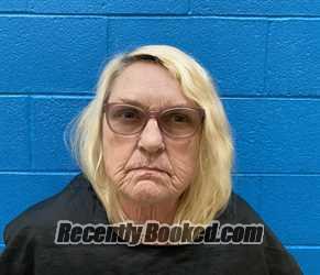 Recent Booking / Mugshot for TERRY JO LOWERY in McDowell County, North ...