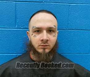 Recent Booking / Mugshot for AUSTIN GYWNN STARNER in McDowell County ...