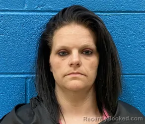 Haley Alyssa Honeycutt Mugshot & Arrest Info | McDowell County, NC