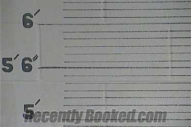 Recent Booking / Mugshot for Aaron Noland in Lee County, Kentucky