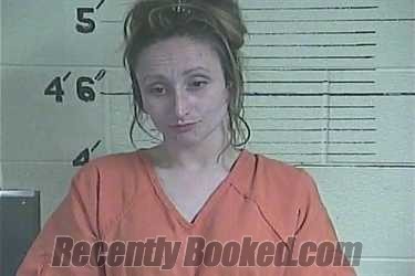 Recent Booking / Mugshot for Ashley Plowman in Lee County, Kentucky