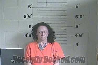 Recent Booking / Mugshot for Elizabeth Sandlin in Lee County, Kentucky