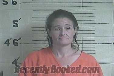 Recent Booking / Mugshot for Jennifer L Sallie in Lee County, Kentucky