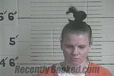 Recent Booking / Mugshot for Michelle Cornett in Lee County, Kentucky