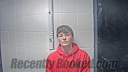 Recent Booking / Mugshot for KENSLEY DAWN MULLINS in Letcher County ...