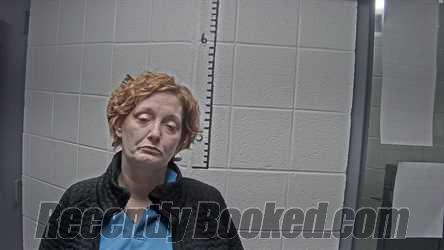 Recent Booking / Mugshot for ANDREA FLEMING FRALEY in Letcher County ...