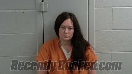 Recent Booking / Mugshot for LEEANNE JOHNSON in Logan County, Kentucky