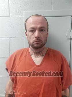 Recent Booking / Mugshot for STEVEN FIELDS in Logan County, Kentucky