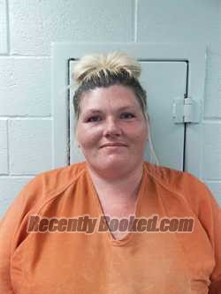 Recent Booking / Mugshot for CHELSEY ELLIS in Logan County, Kentucky