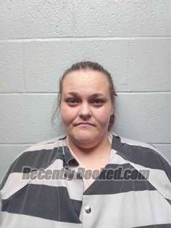 Recent Booking / Mugshot for MEGAN SOWDERS in Logan County, Kentucky