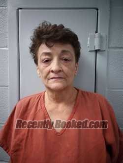 Recent Booking / Mugshot for SHERRI BIGGS in Logan County, Kentucky