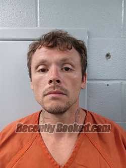 Recent Booking / Mugshot for ROBERT PEDIGO in Logan County, Kentucky