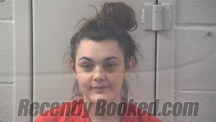 Recent Booking / Mugshot for HEATHER MICHELLE SPIVEY in Logan County ...
