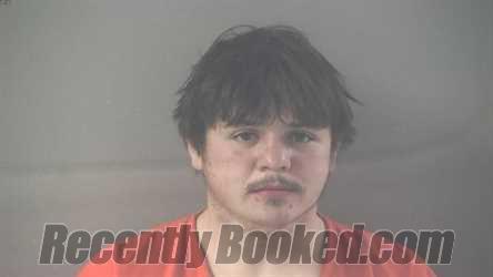 Recent Booking / Mugshot for TRAVIS JR WILLIS in Logan County, Kentucky