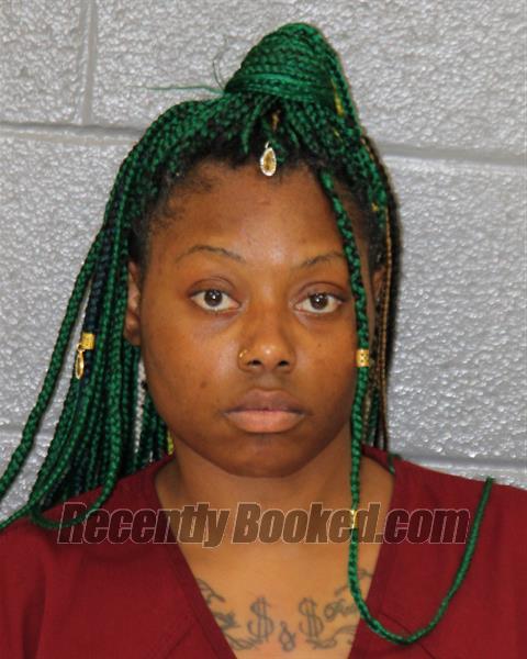Recent Booking / Mugshot for CHANEL SABRINA BOXLEY in Mecklenburg ...
